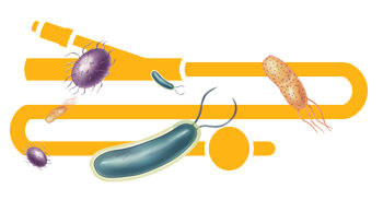 External urine management devices for male and female anatomy | Stryker